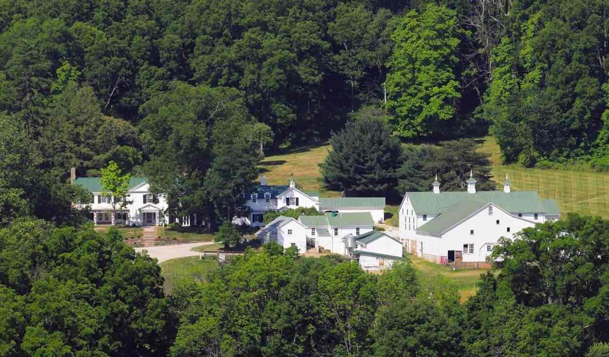 The Mysterious Ceely Rose - The Ohio Project